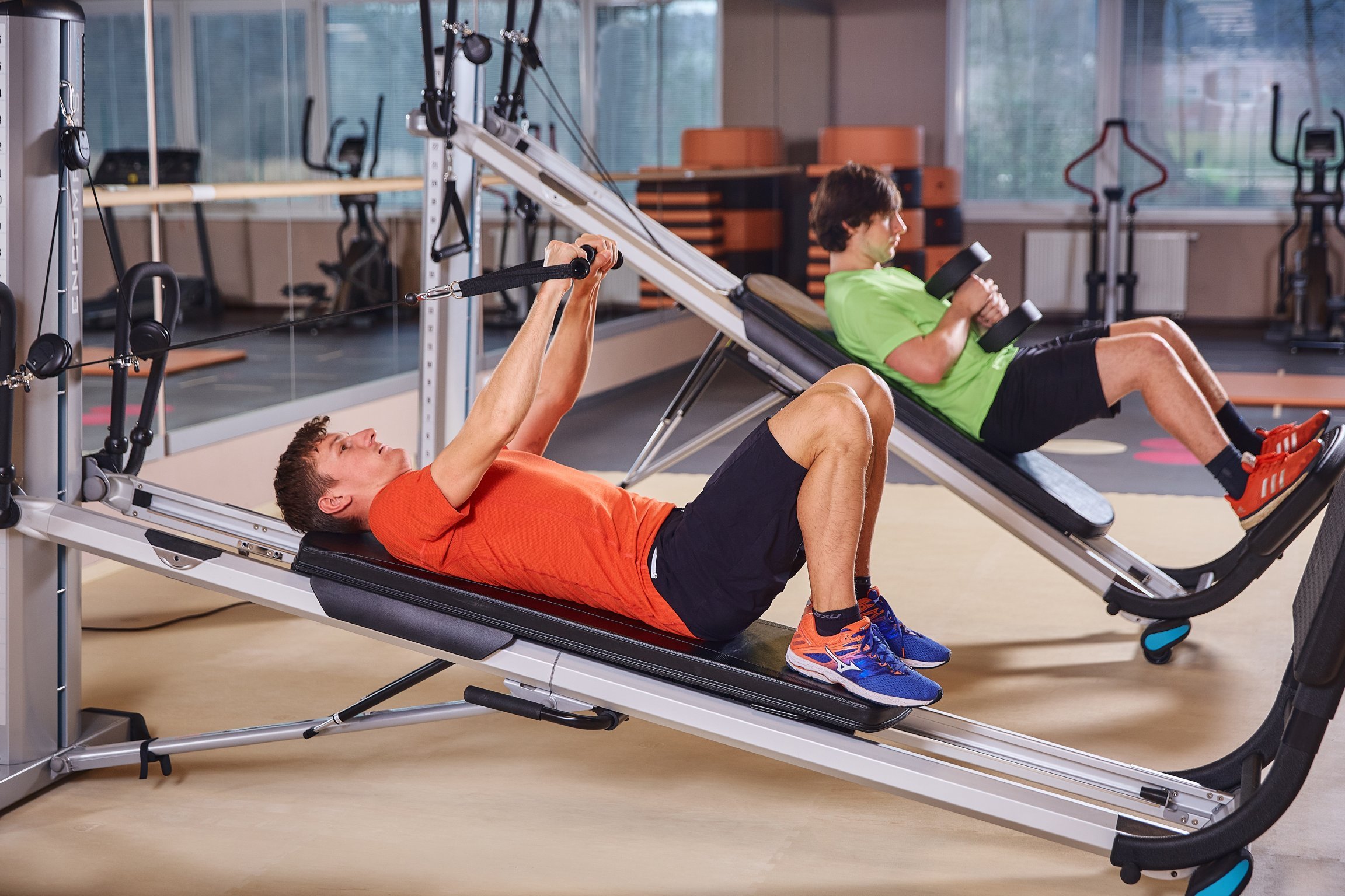 Fitness Laboratory | Tree of Life